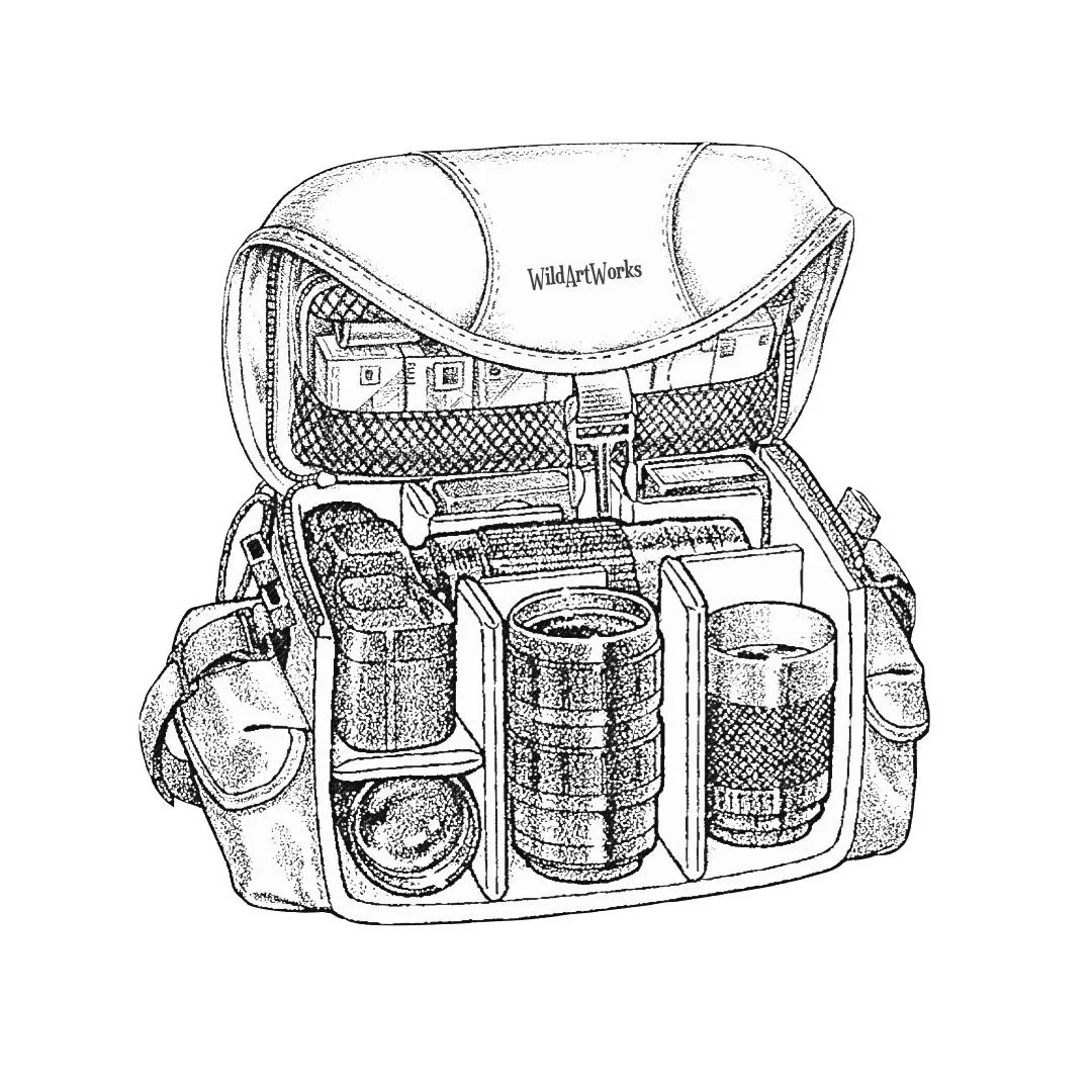Kit Bag — WildArt.Works | Wildlife Photographer