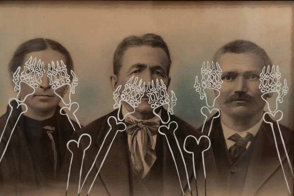 Exhibitions — Museum of Wonder