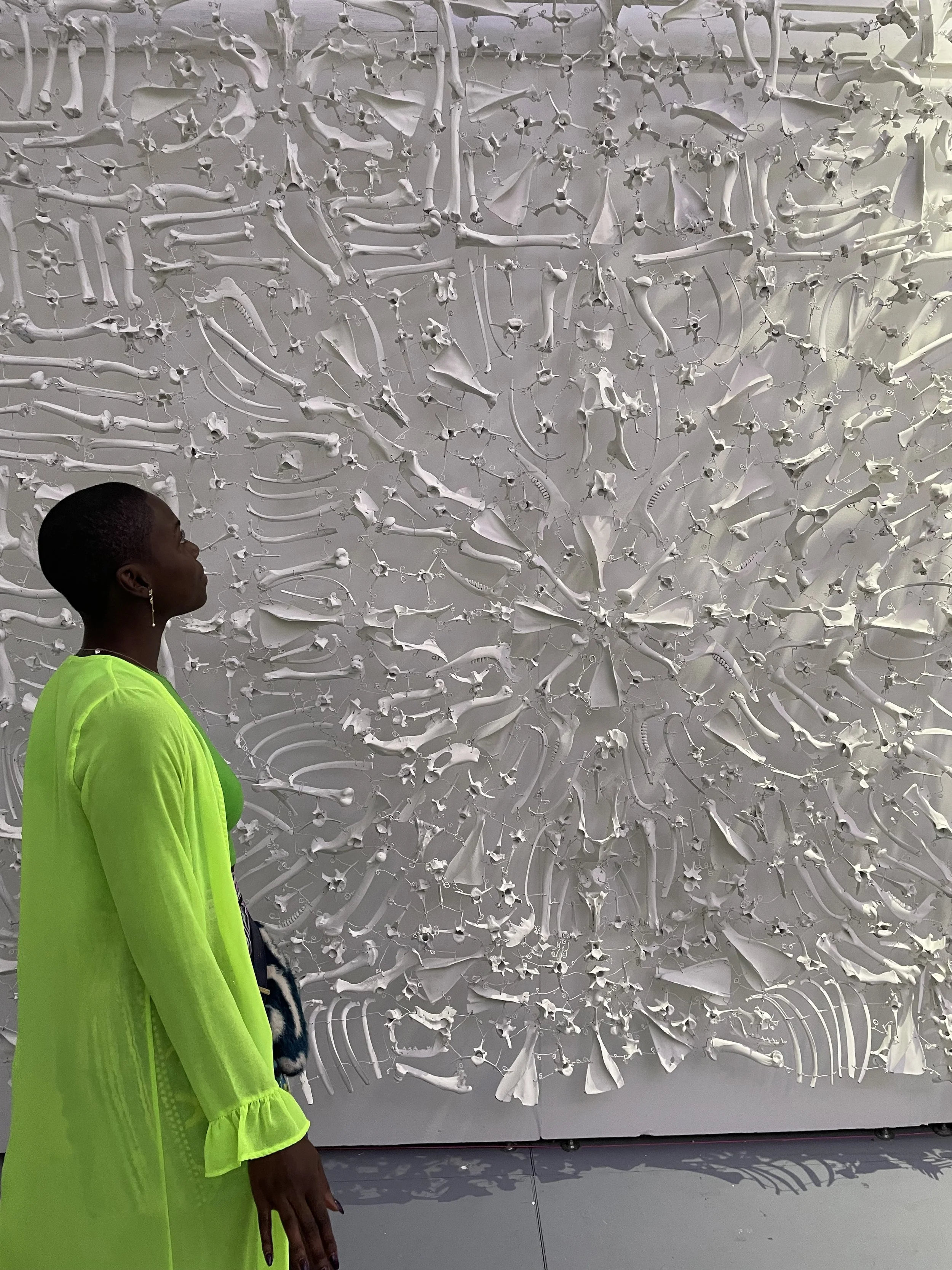 Bones — Museum of Wonder