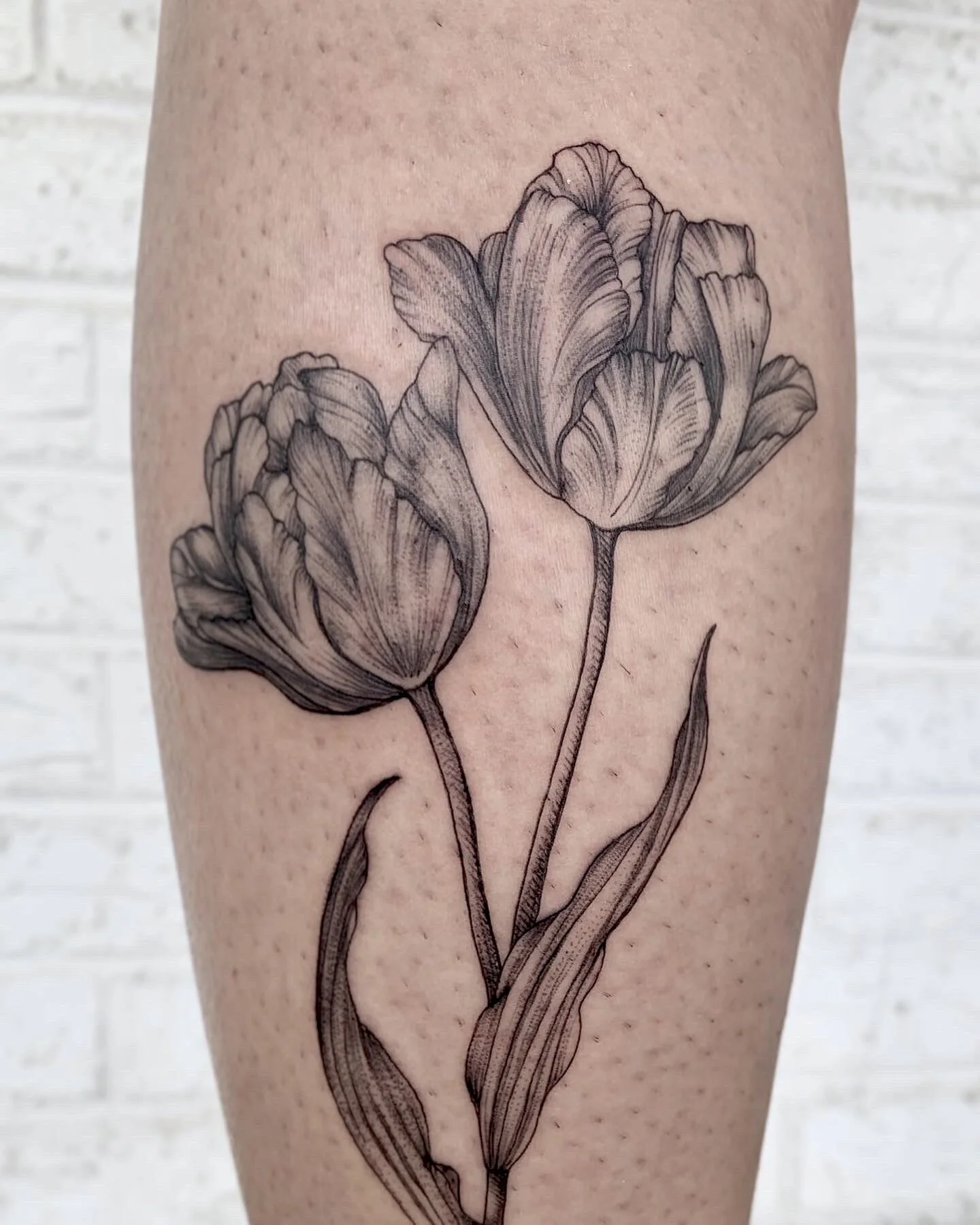 Bone and Ink