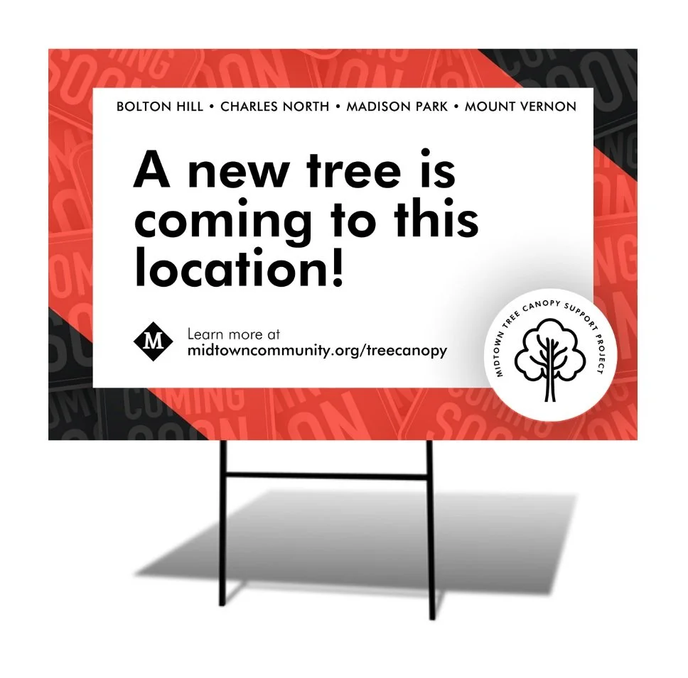 Tree Canopy Support Program — Midtown Baltimore
