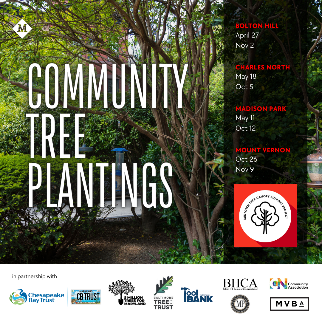 Tree Canopy Support Program — Midtown Baltimore