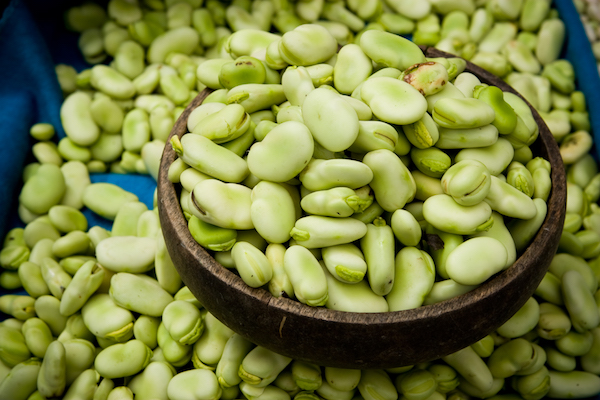 Organic Fava Bean Protein — Guzen Development