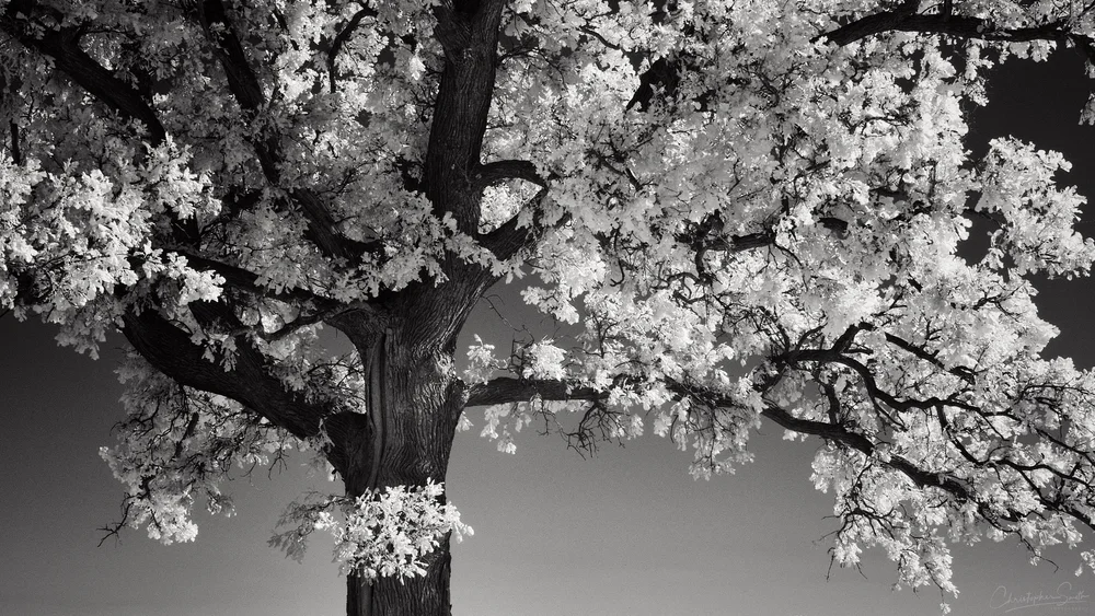 Christopher Smith Photography