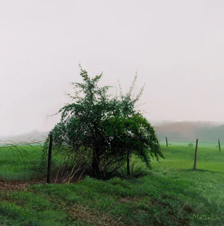 Available Paintings — Michael Miller Fine Art