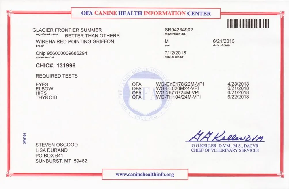 Ragnar — Glacier Kennels