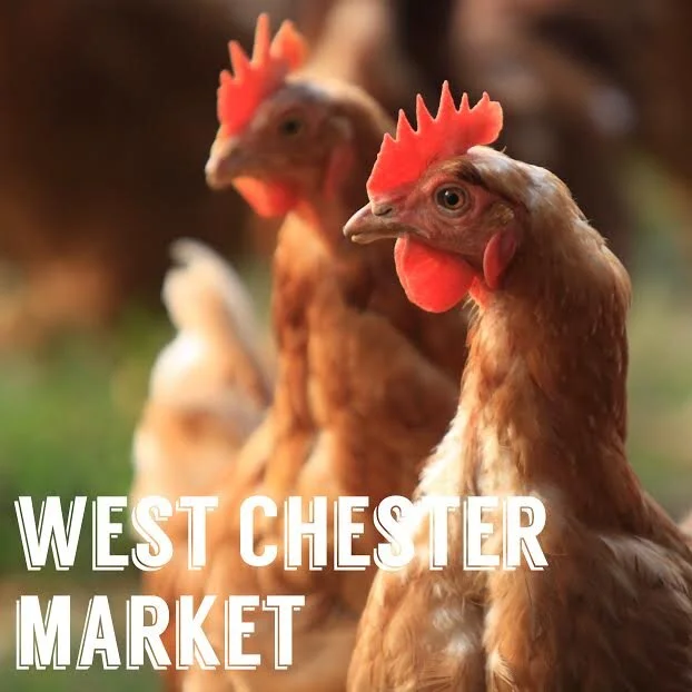 West Chester: Chicken — Lindenhof Farm