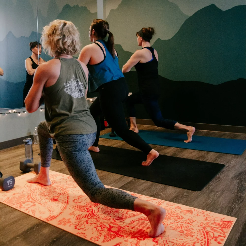FlowFit Class Descriptions — FlowFit Yoga and Fitness