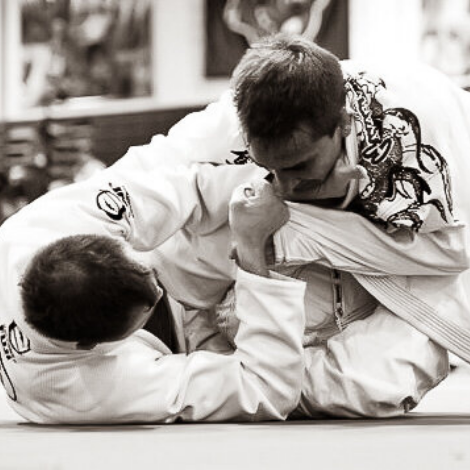 Video Series Landing Page — Team Flo Brazilian Jiu Jitsu