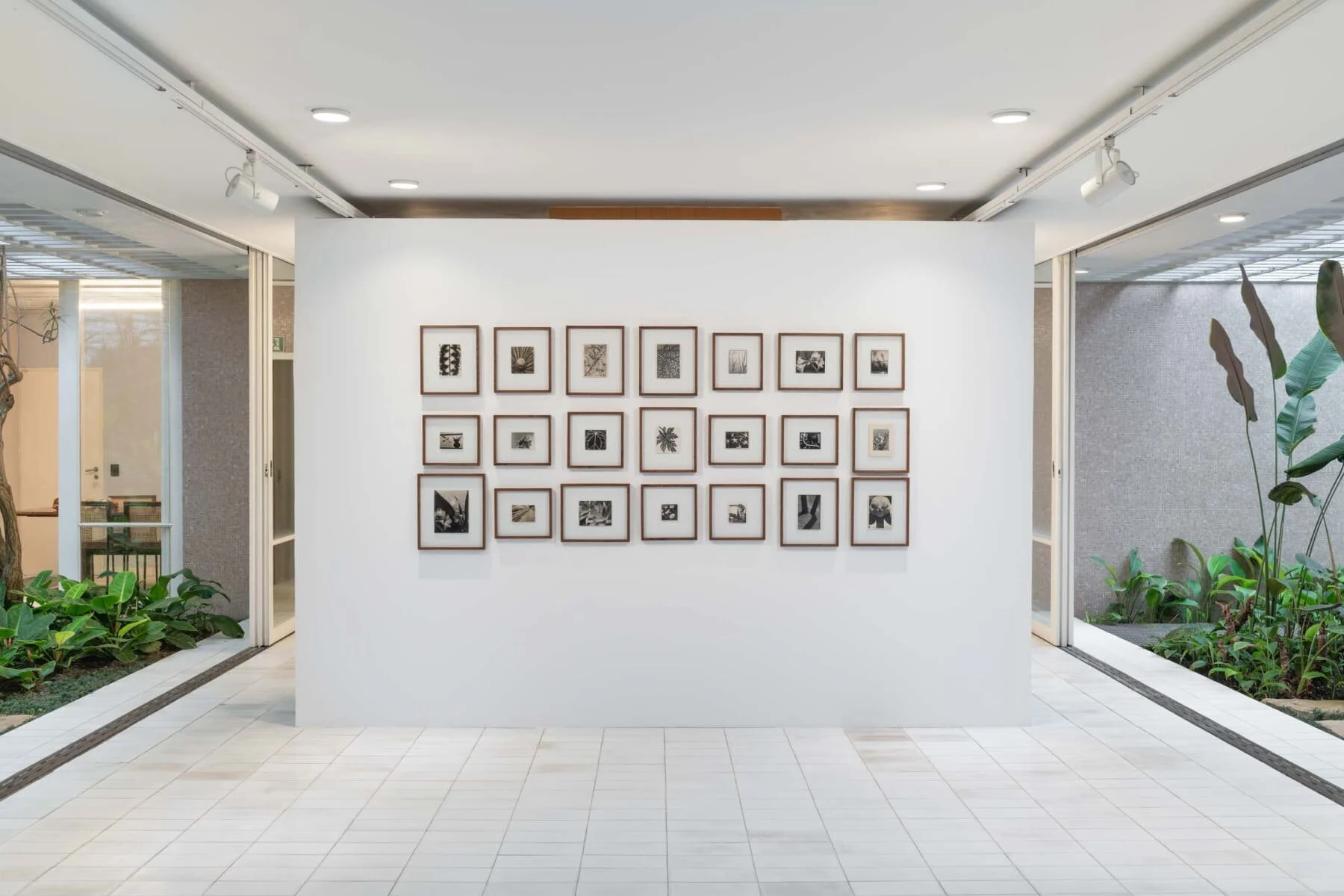 Viewing Room — Isabel Amado Fotografia