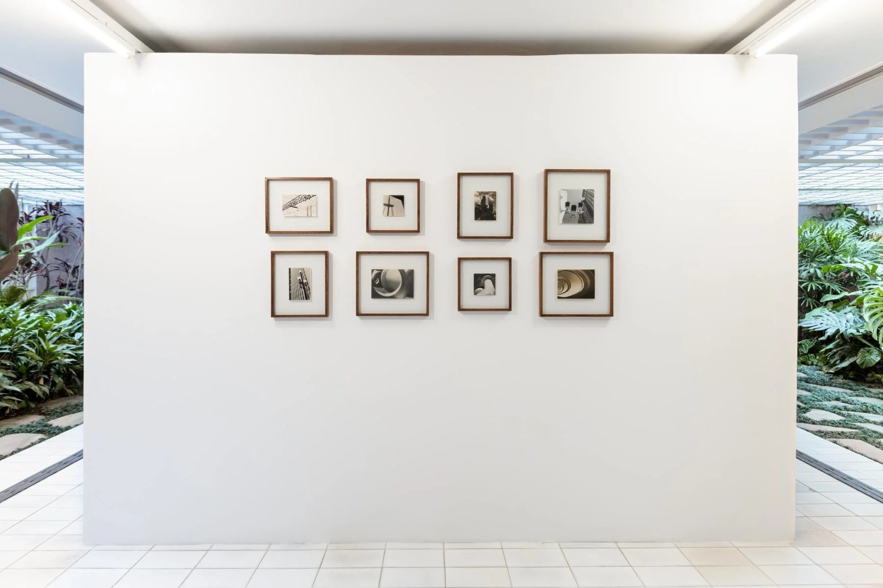 Viewing Room — Isabel Amado Fotografia