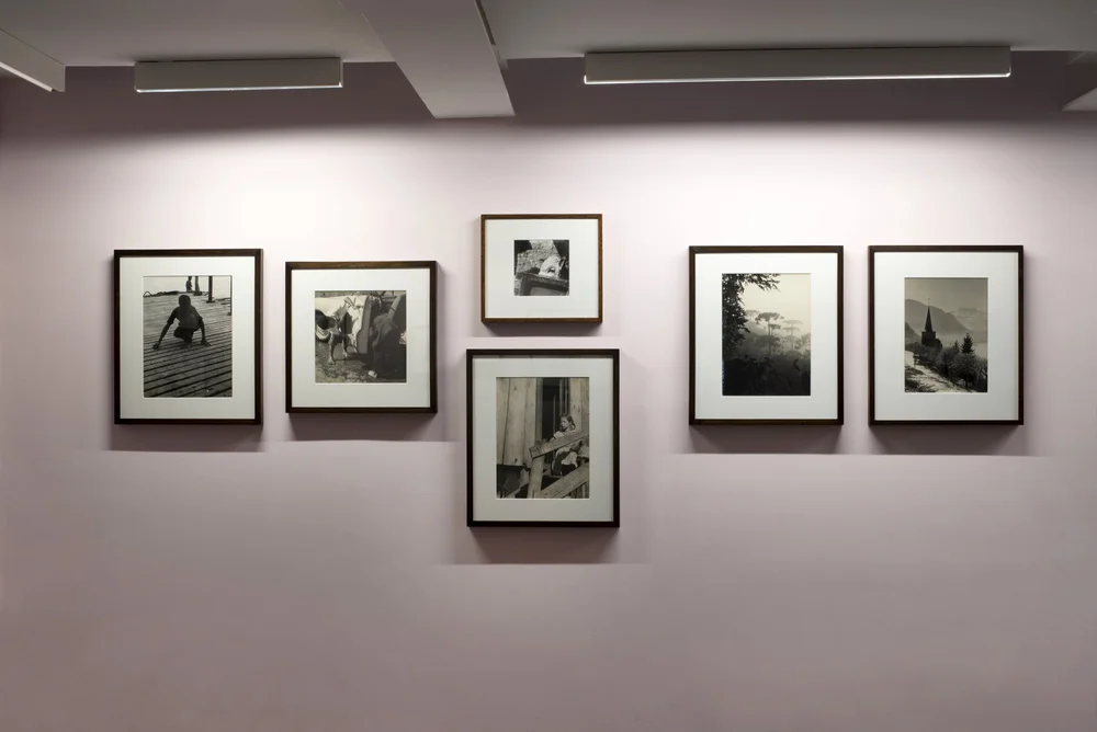 Viewing Room — Isabel Amado Fotografia