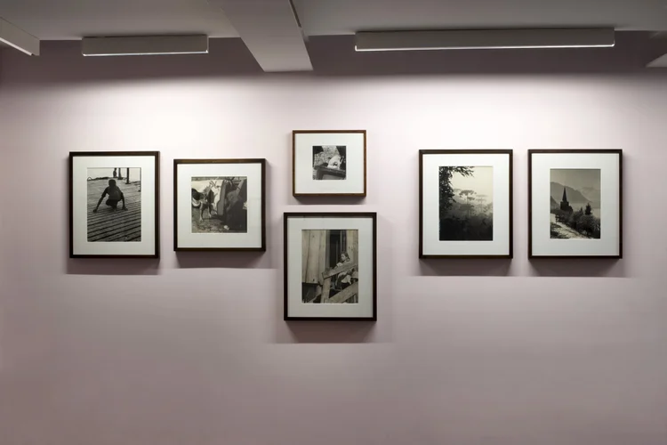 Viewing Room — Isabel Amado Fotografia