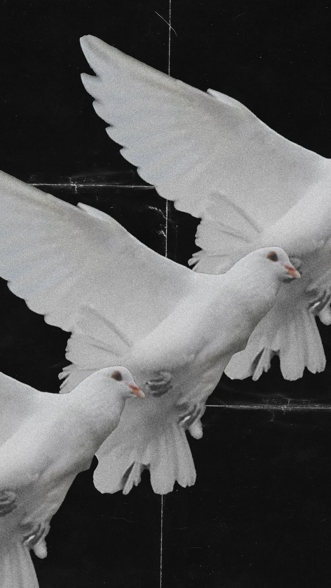 Exclusive Staycation Wallpapers — uprisingcotr