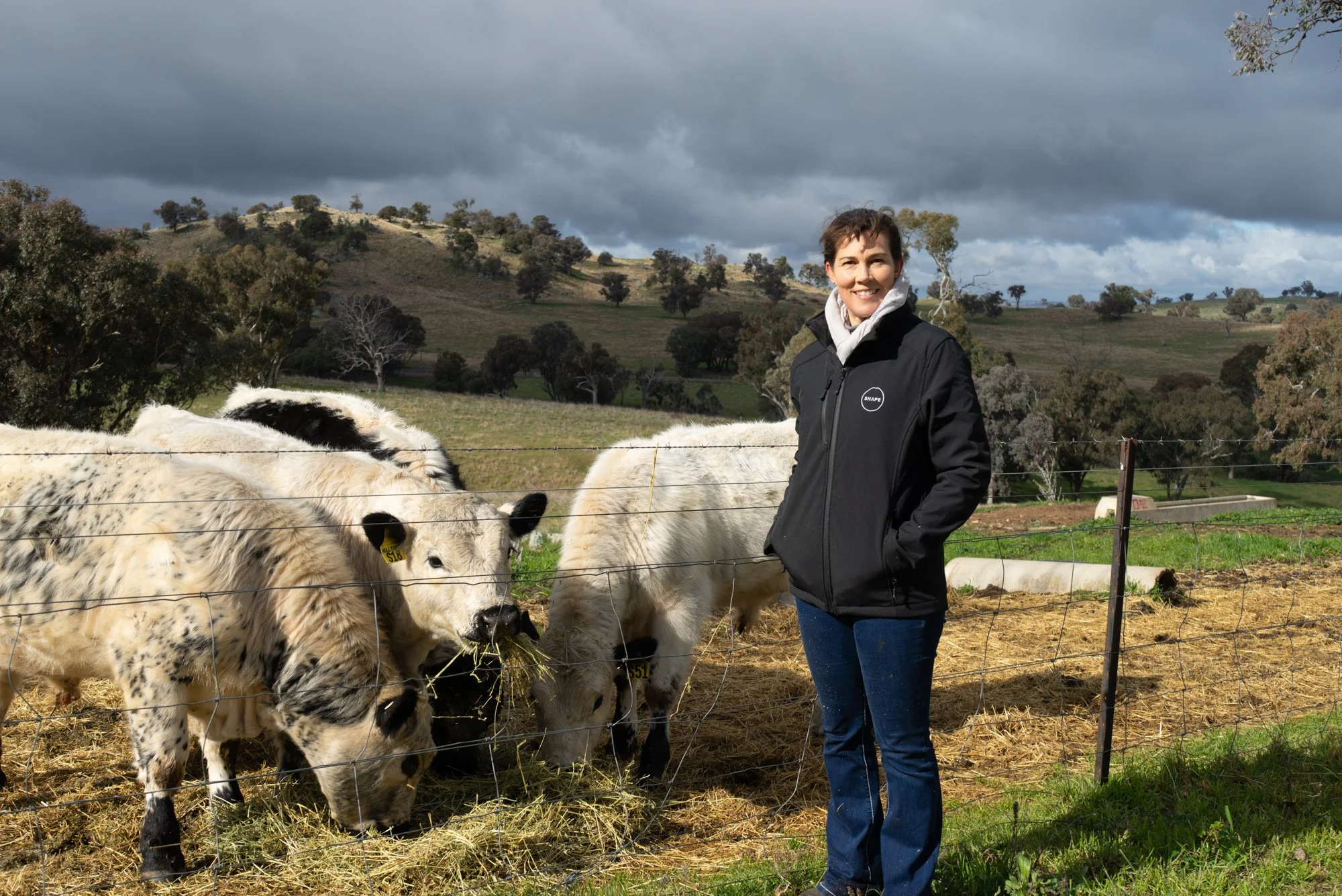 Weddings by Hollycott Farm