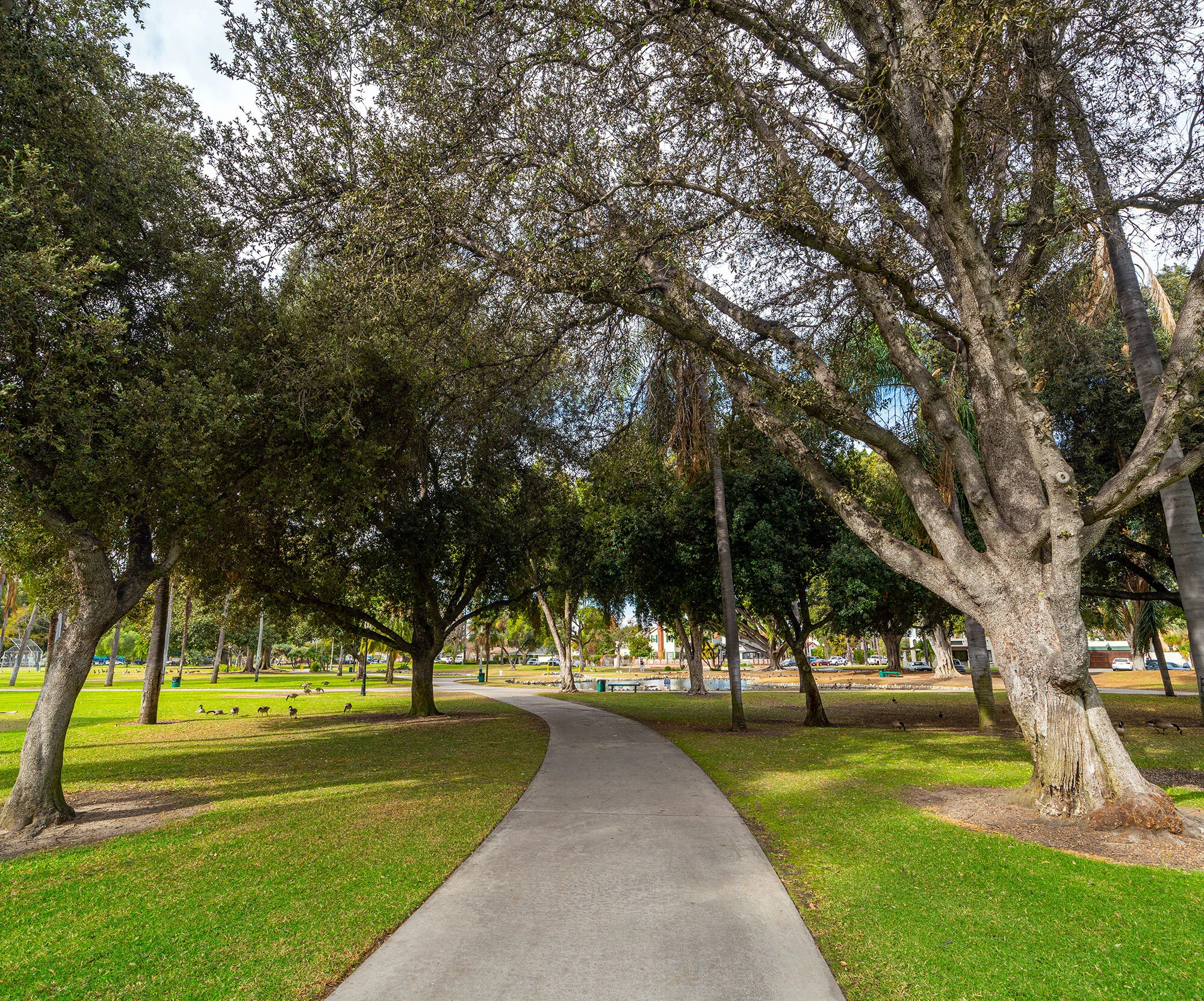 The Colony Story — Anaheim Colony