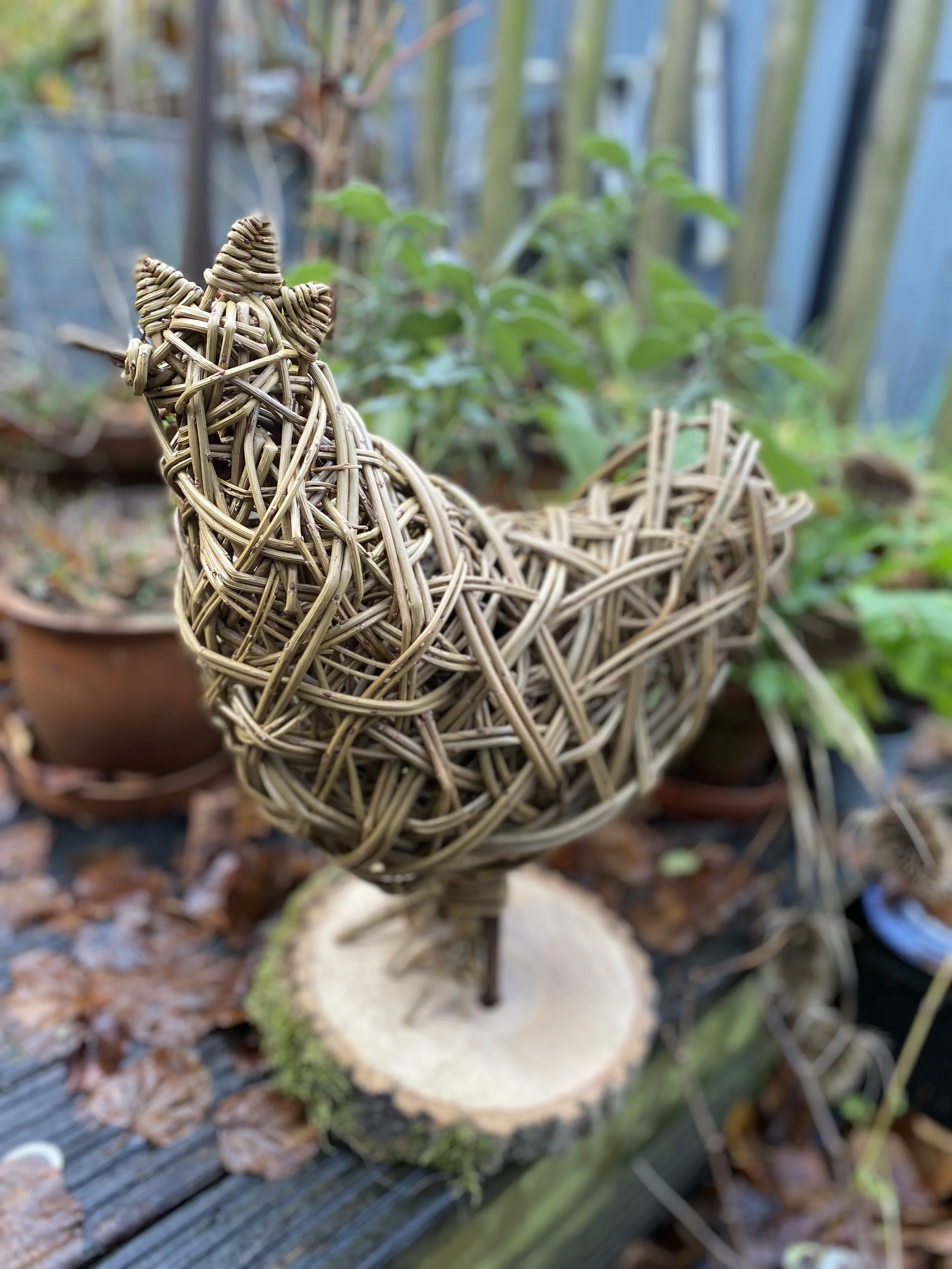 Large Sitting Hare — Juliette Hamilton Willow Sculpture