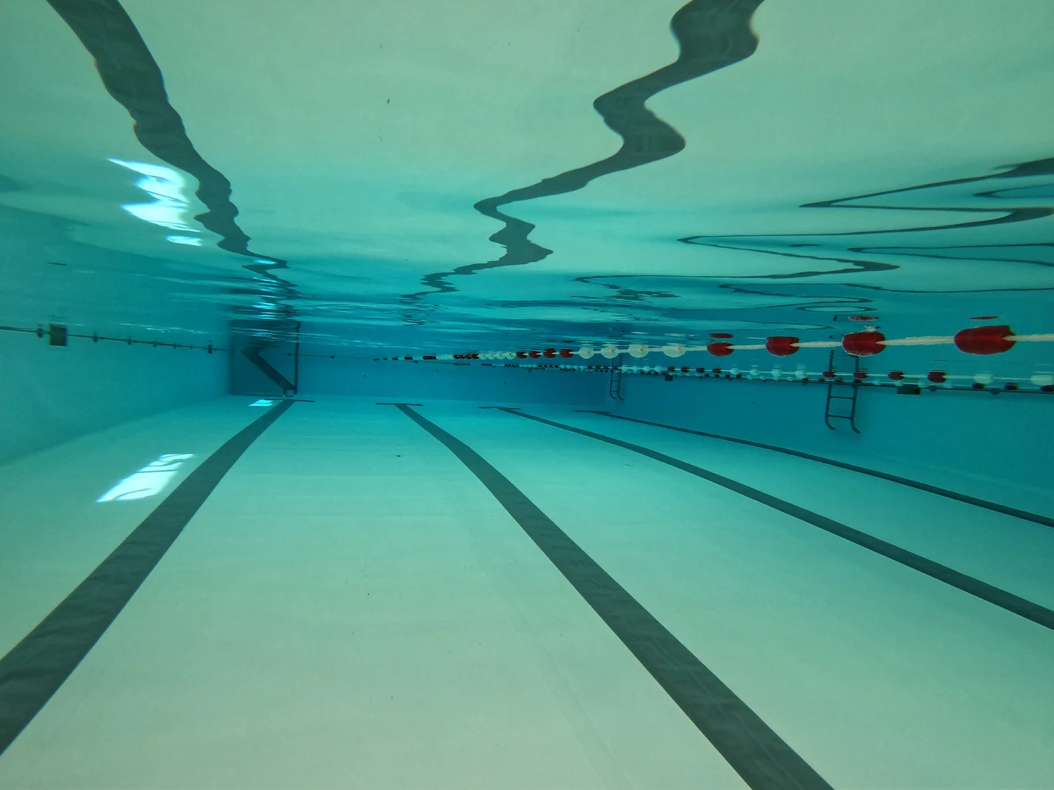 Stacy's School of Swimming