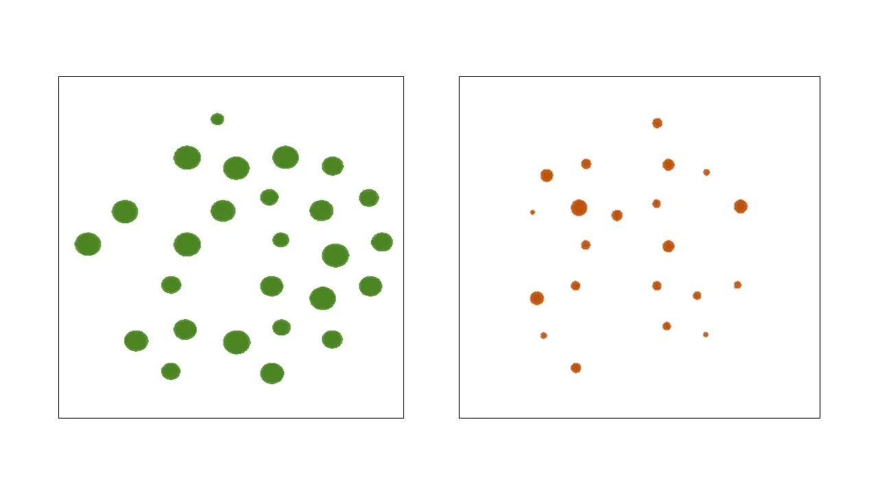 Dyscalculia counts: What is dyscalculia and why aren’t we talking about ...