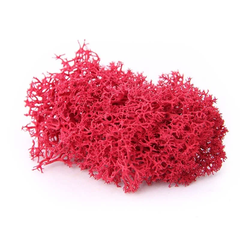 Convex | Moss wall panels — Nordgröna