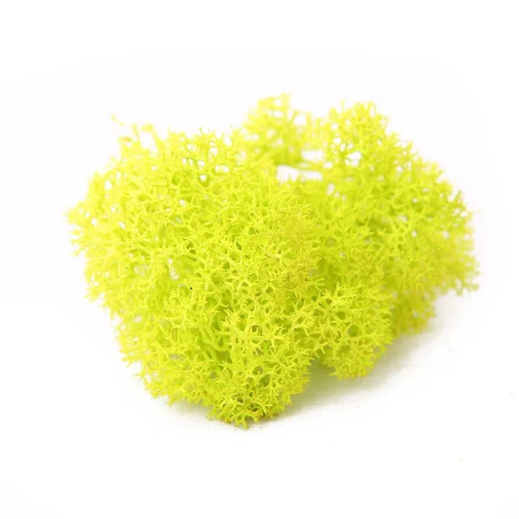 Canopy | Reindeer moss ceiling panels — Nordgröna