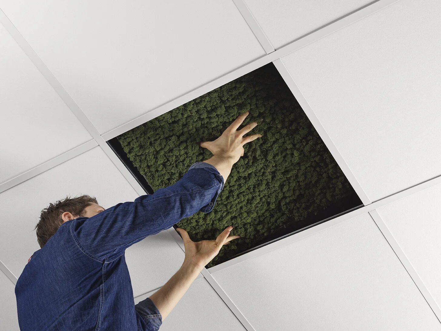 Types Of Ceiling Tiles | Shelly Lighting