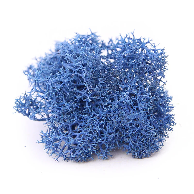 Convex | Moss wall panels — Nordgröna