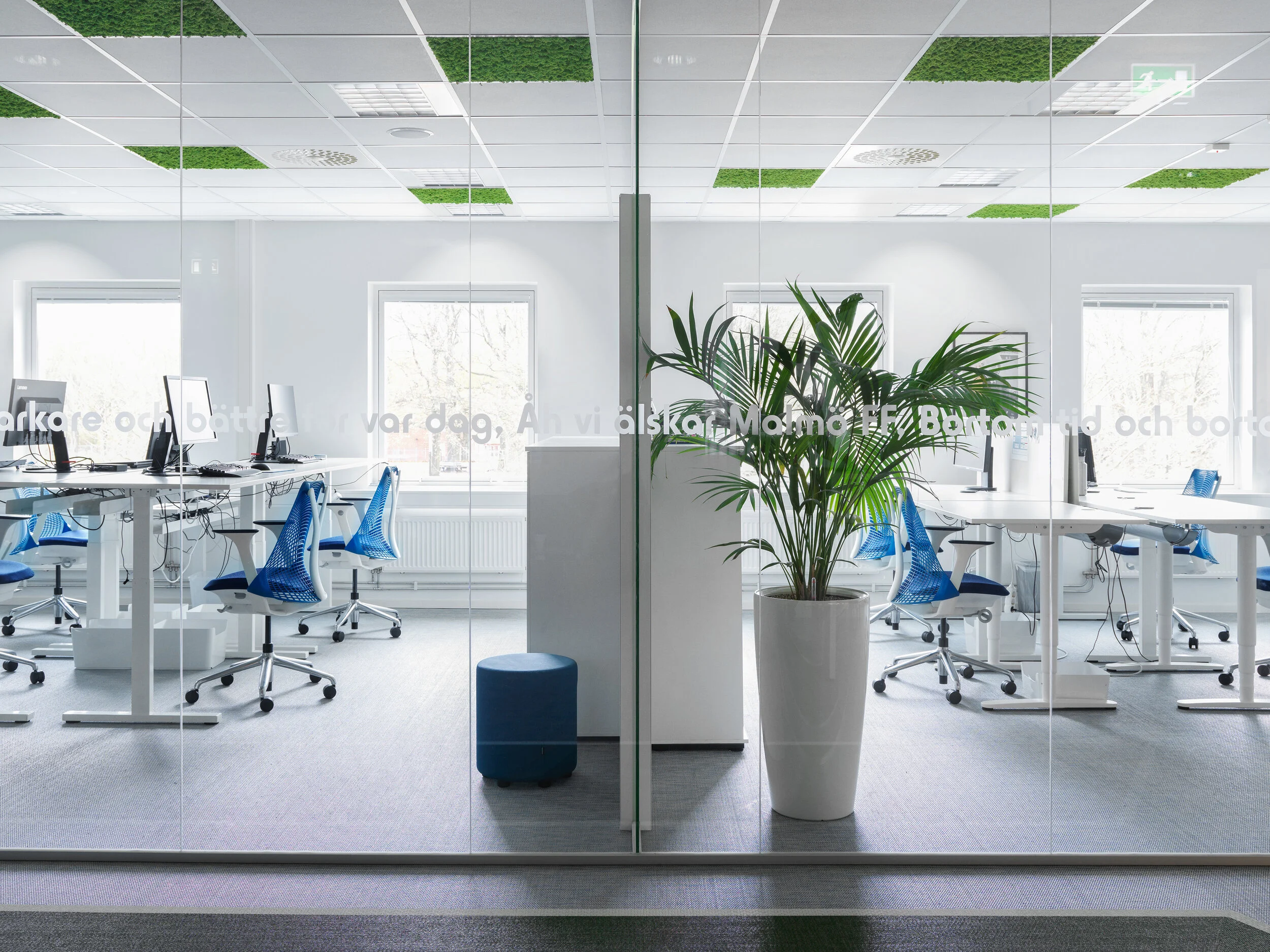 Canopy | Reindeer moss ceiling panels — Nordgröna