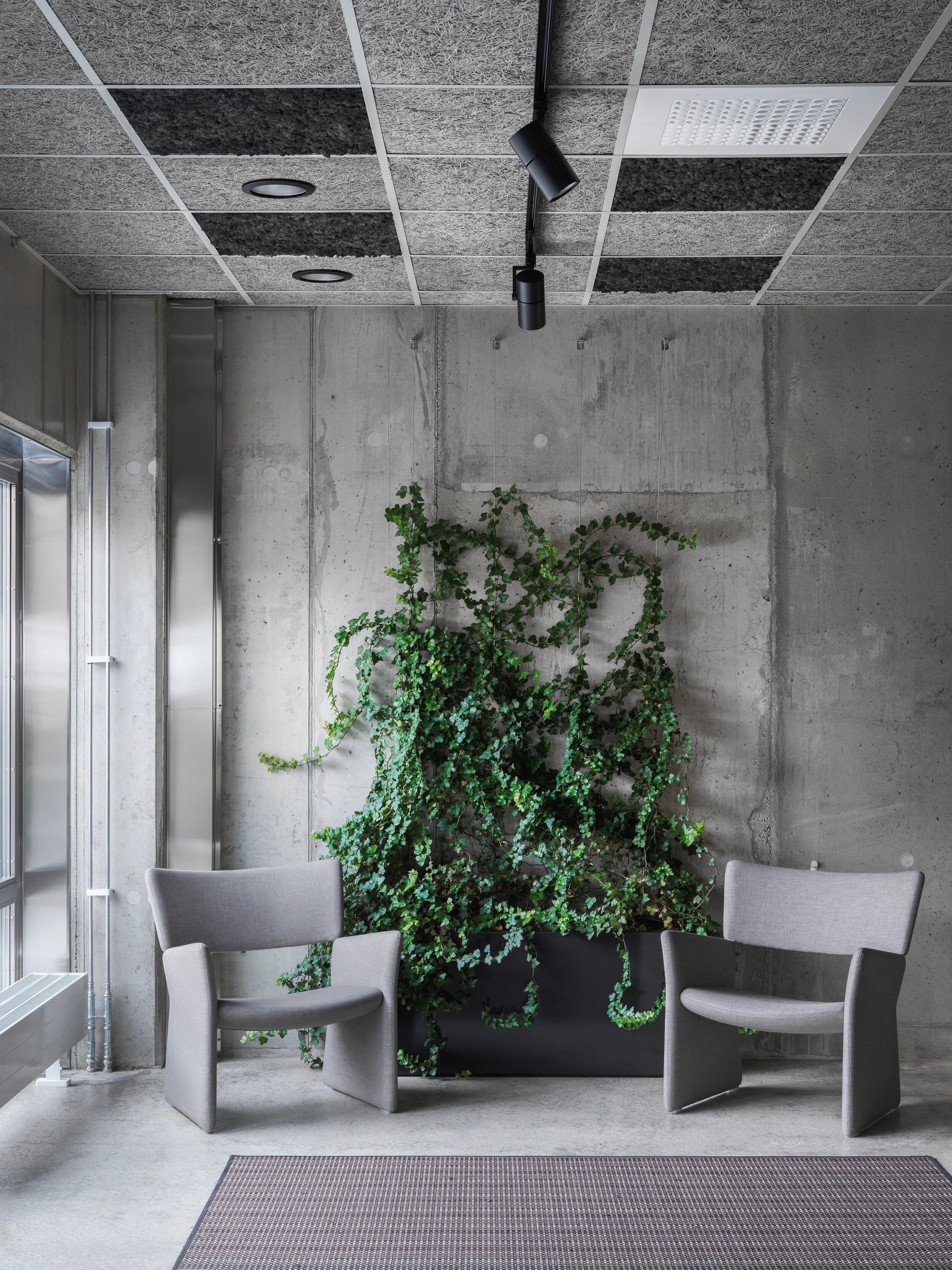 Canopy | Reindeer moss ceiling panels — Nordgröna