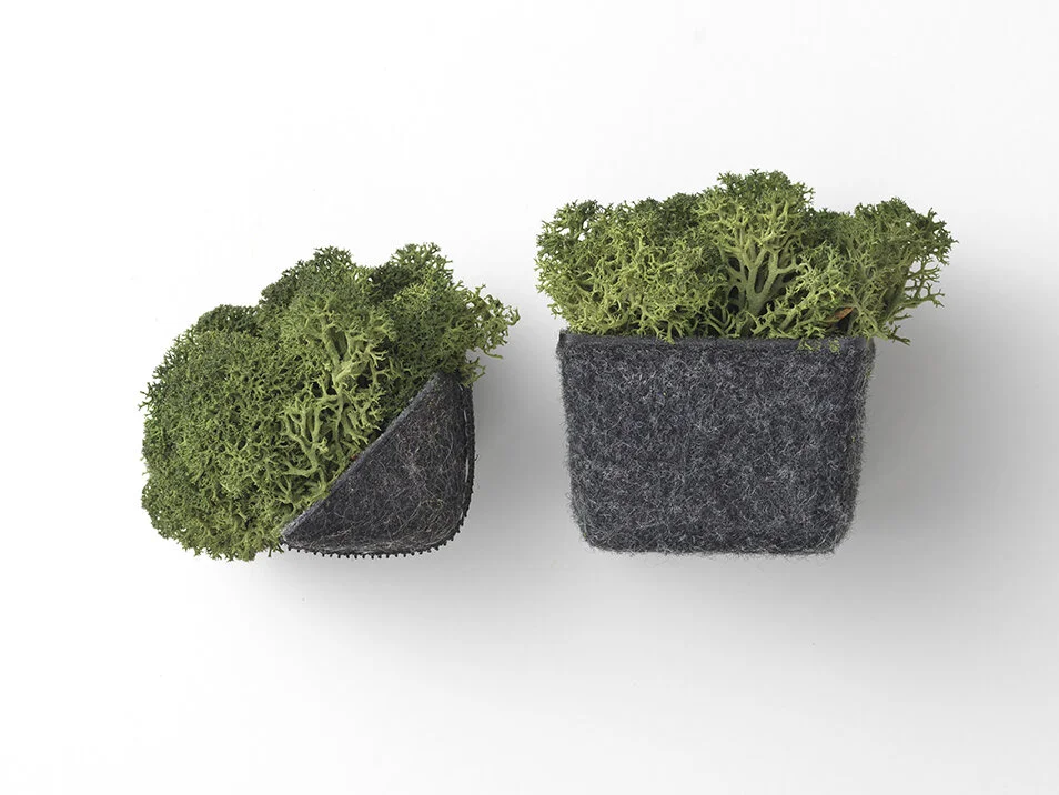 Pixel | Reindeer moss wall — Nordgröna