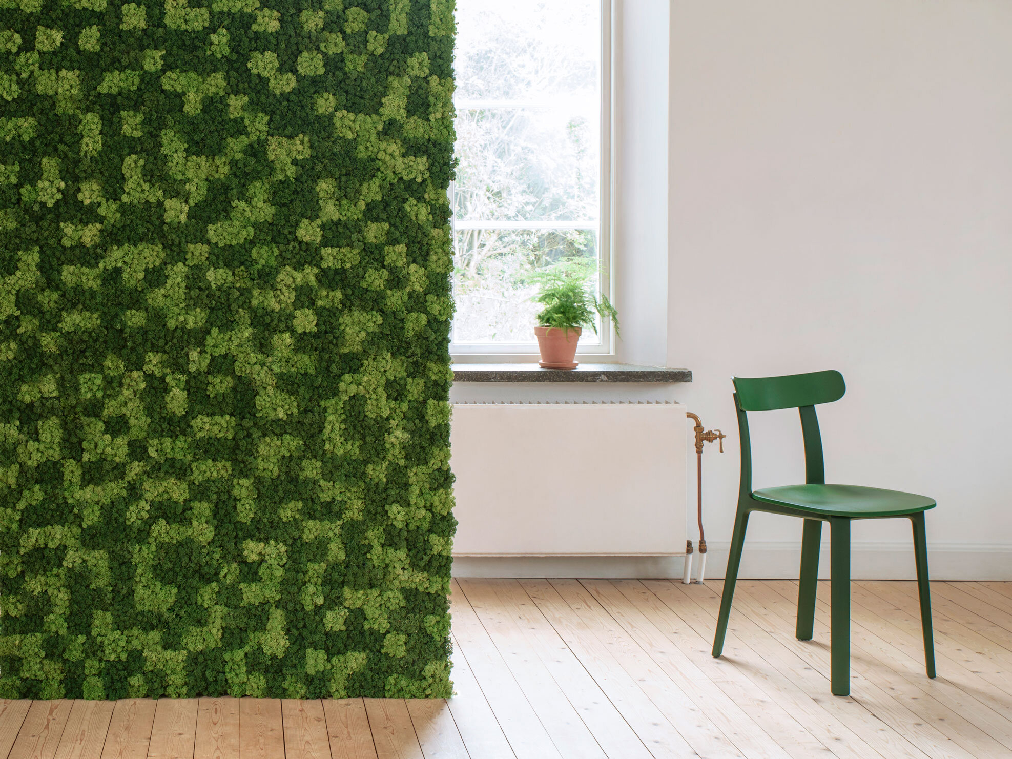 Pixel | Reindeer moss wall — Nordgröna