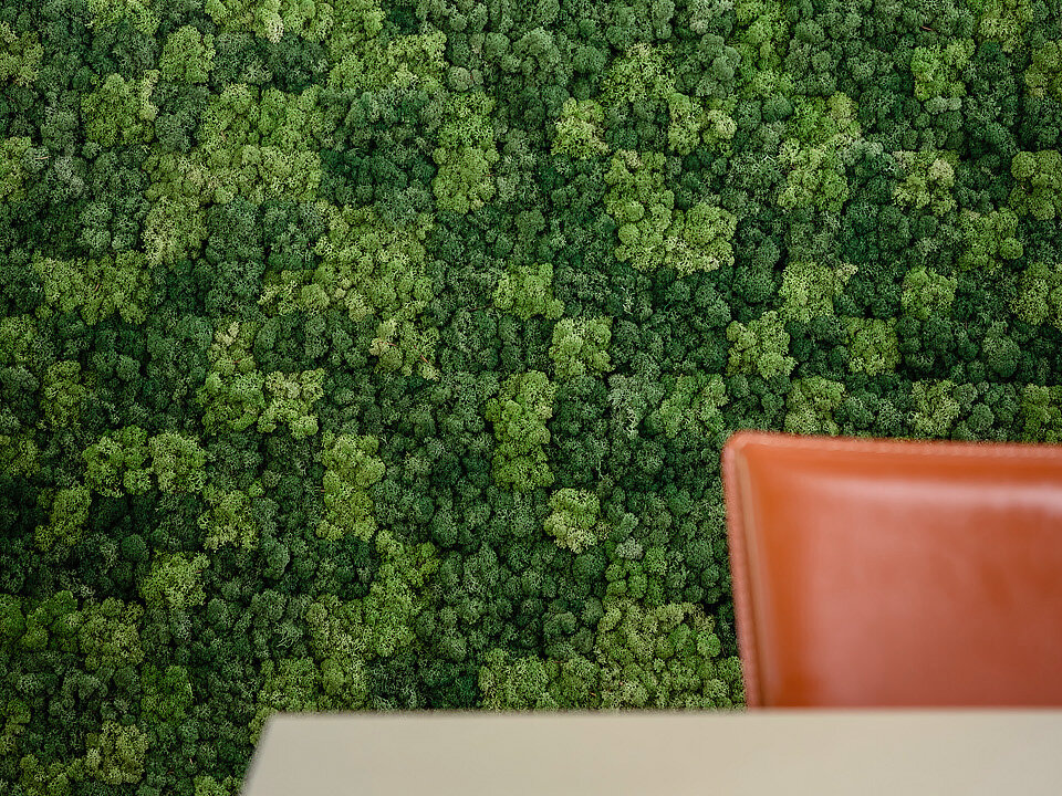 Pixel | Reindeer moss wall — Nordgröna