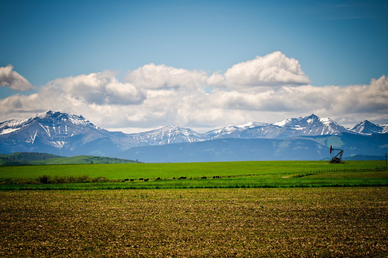 Sustainability — Spartan Delta Corp.