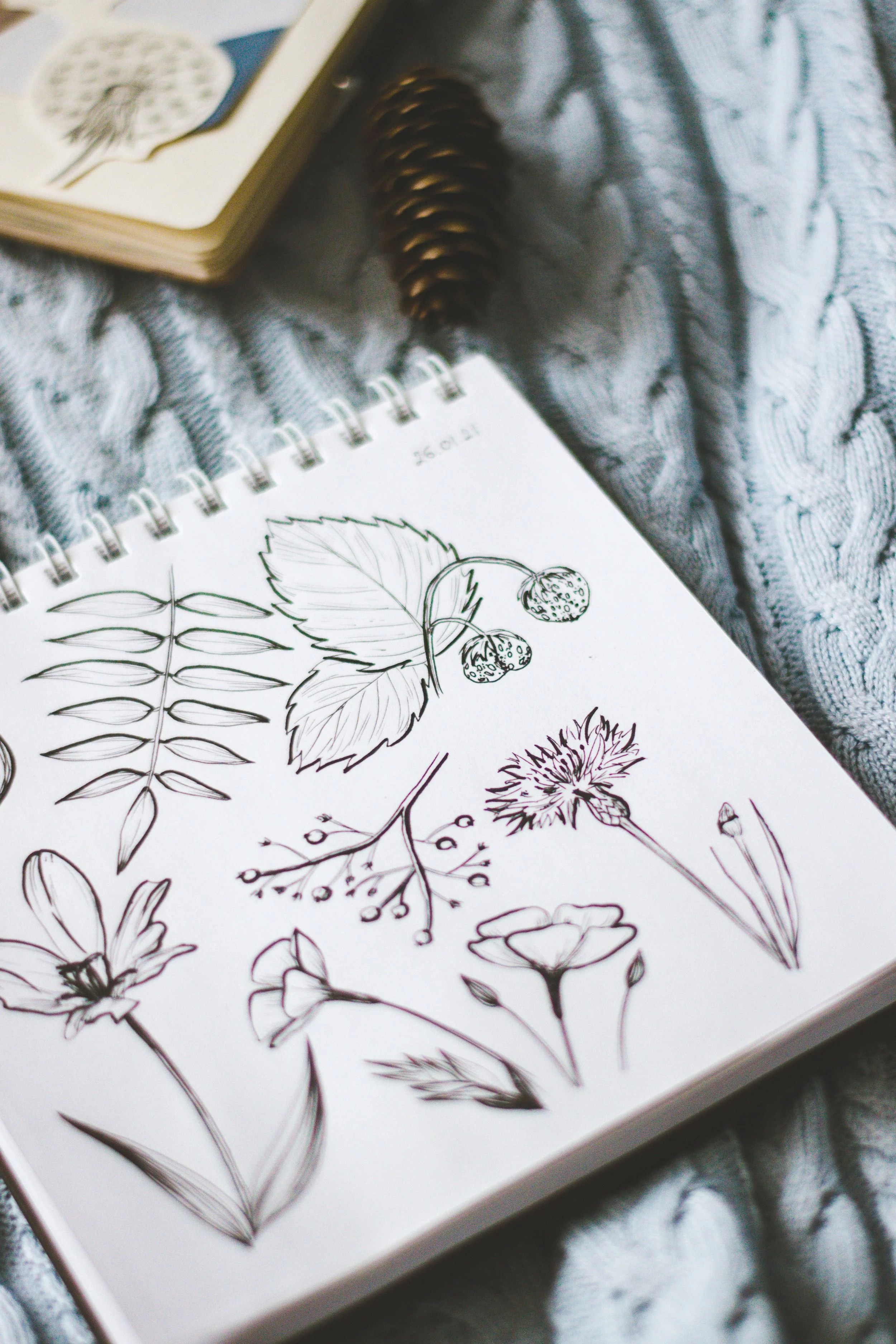 Magic of Florals | Flower Doodle Art