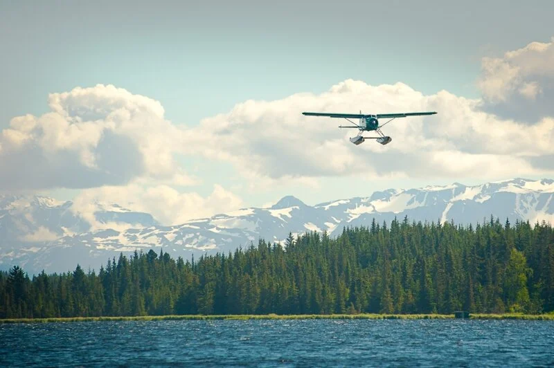 Beluga Air: Alaska Flightseeing, Bear Viewing and Air Charters