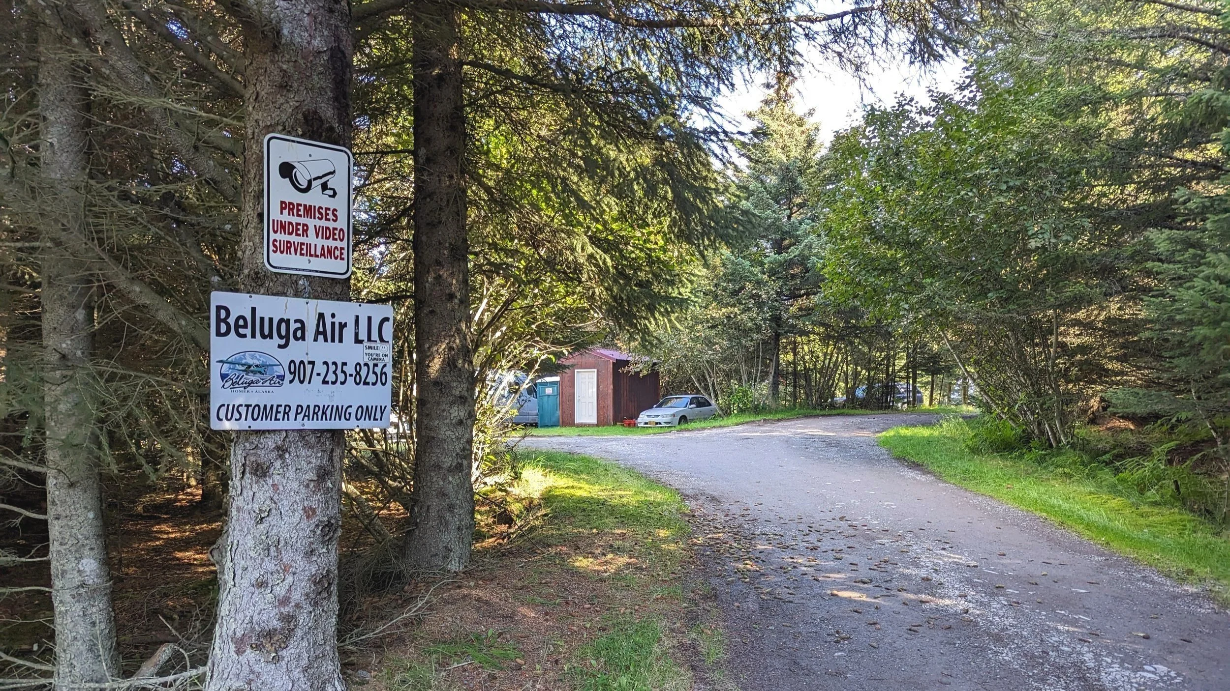 Contact Us for Flights and Bear Viewing — Beluga Air
