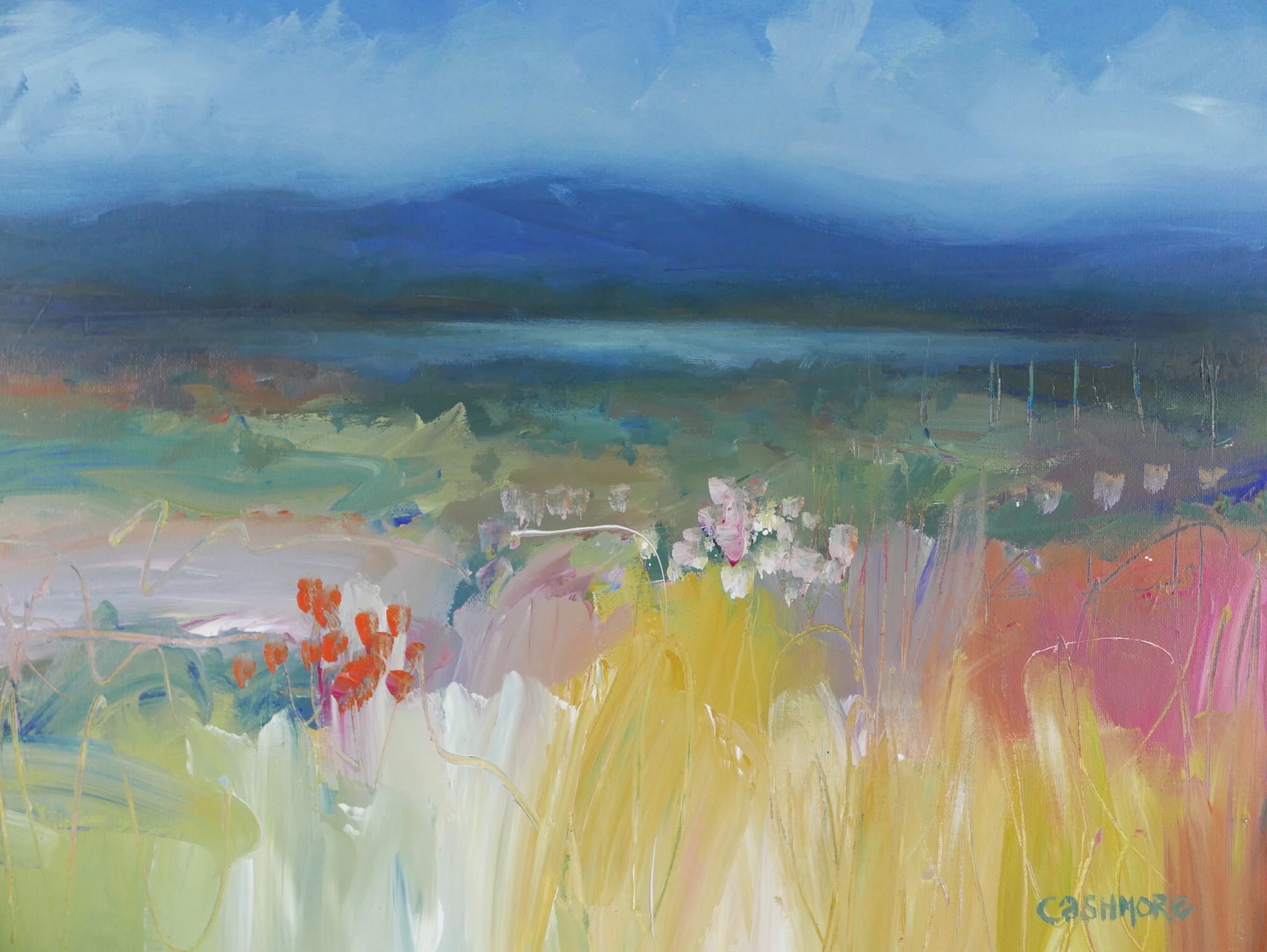 Hazel Cashmore Artist — Dockside Gallery