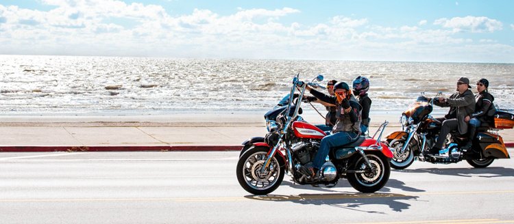 Champion Cycle - Champion cycle