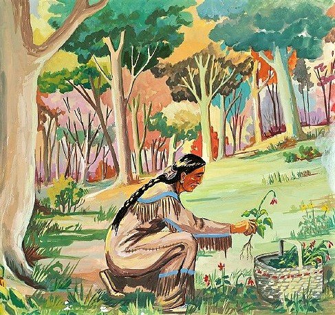 How Medicine came to the Haudenosaunee — oxford public philosophy