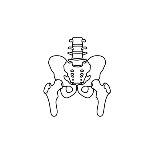 Understanding Hip Anatomy: Flexion and Extension