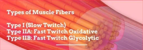 Best Hamstring Exercises