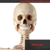 The Masseter: Learn About the Strongest Muscle in the Body