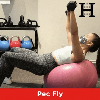 Exercise Tutorial: Pec Fly