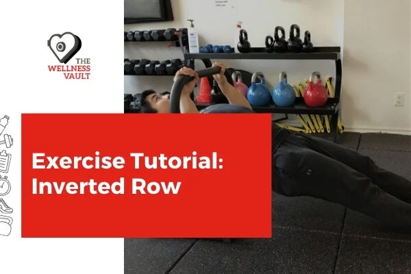 Dip Bar Inverted Rowtrx Row