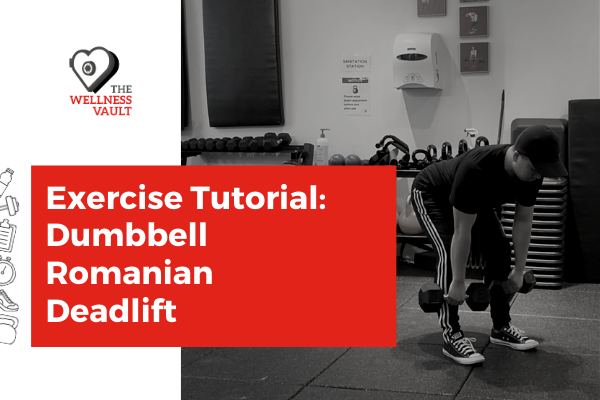 Exercise Library Tutorials