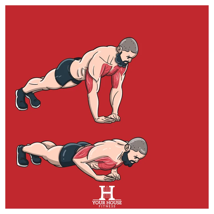 Exercise Tutorial: Diamond Push Up