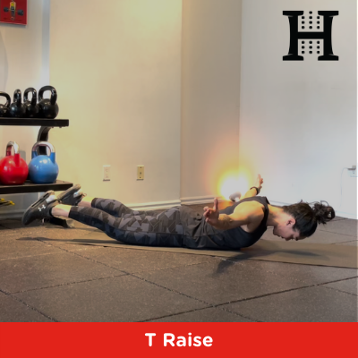 Exercise Tutorial: T Raises