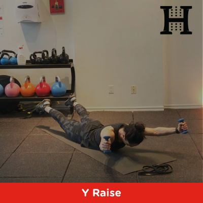 Exercise Tutorial: Y Raises