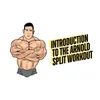 Introduction to the Arnold Split Workout