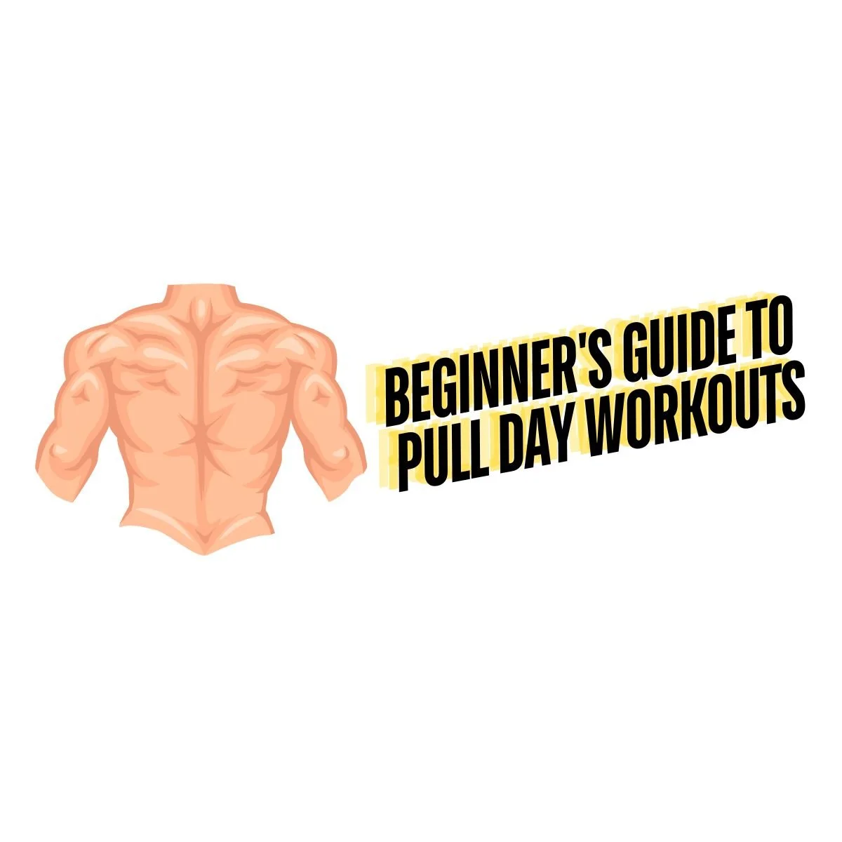 Beginner's Guide to Pull Day Workouts